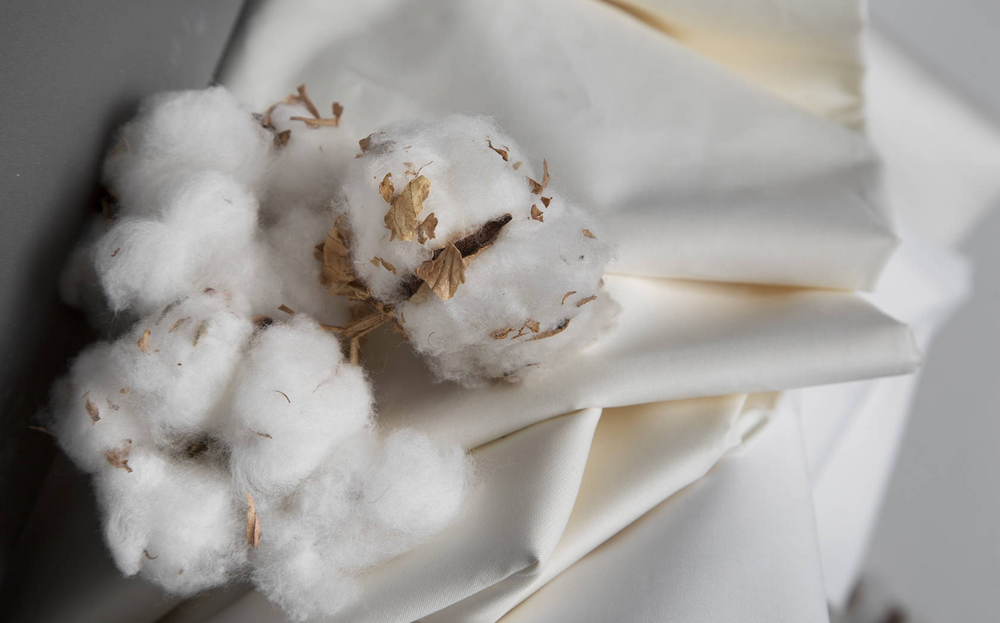 Giza Cotton: What It Is & Why It Matters